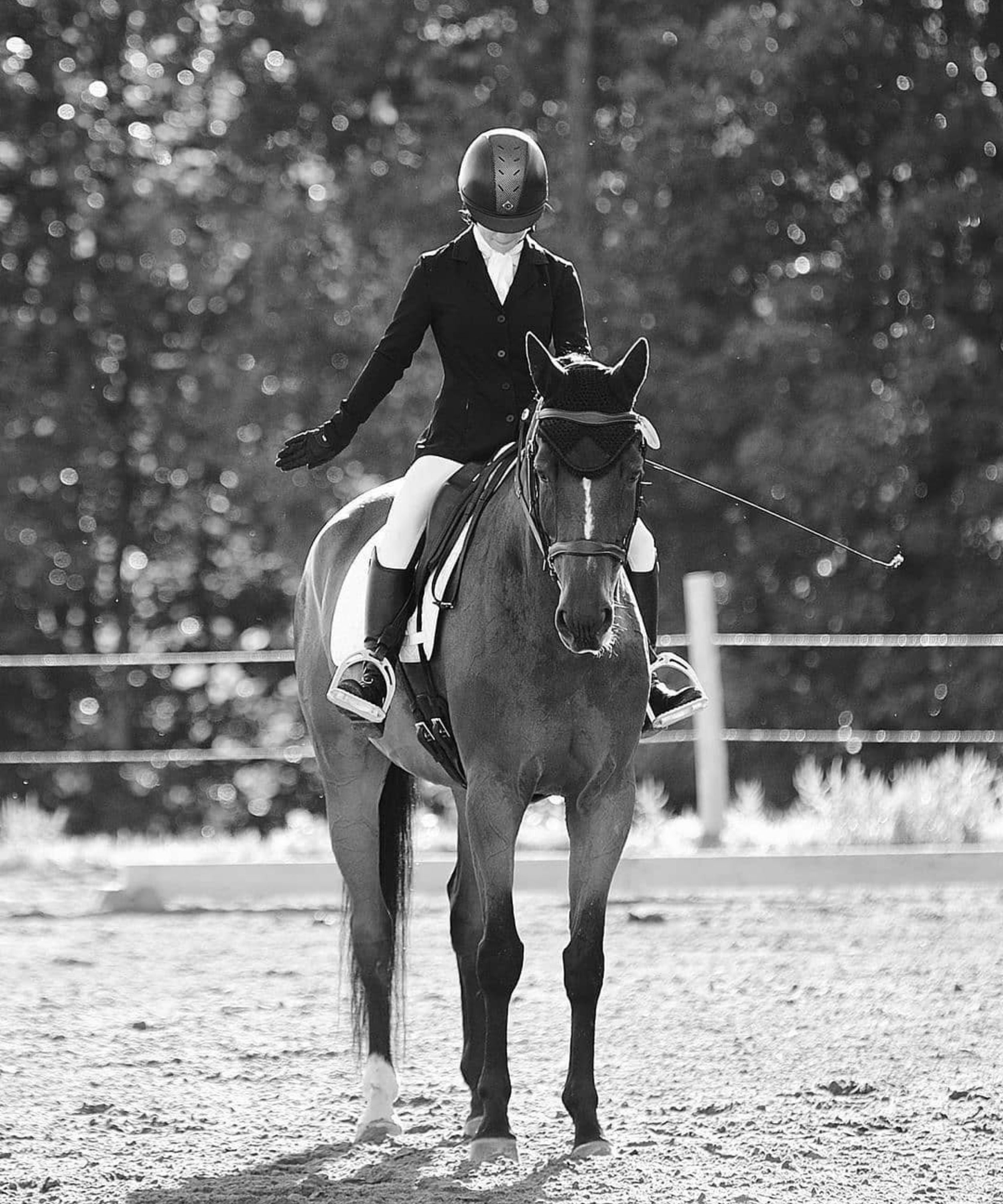 A Guide to Equestrian Scoring System | How is Equestrian Scored ...