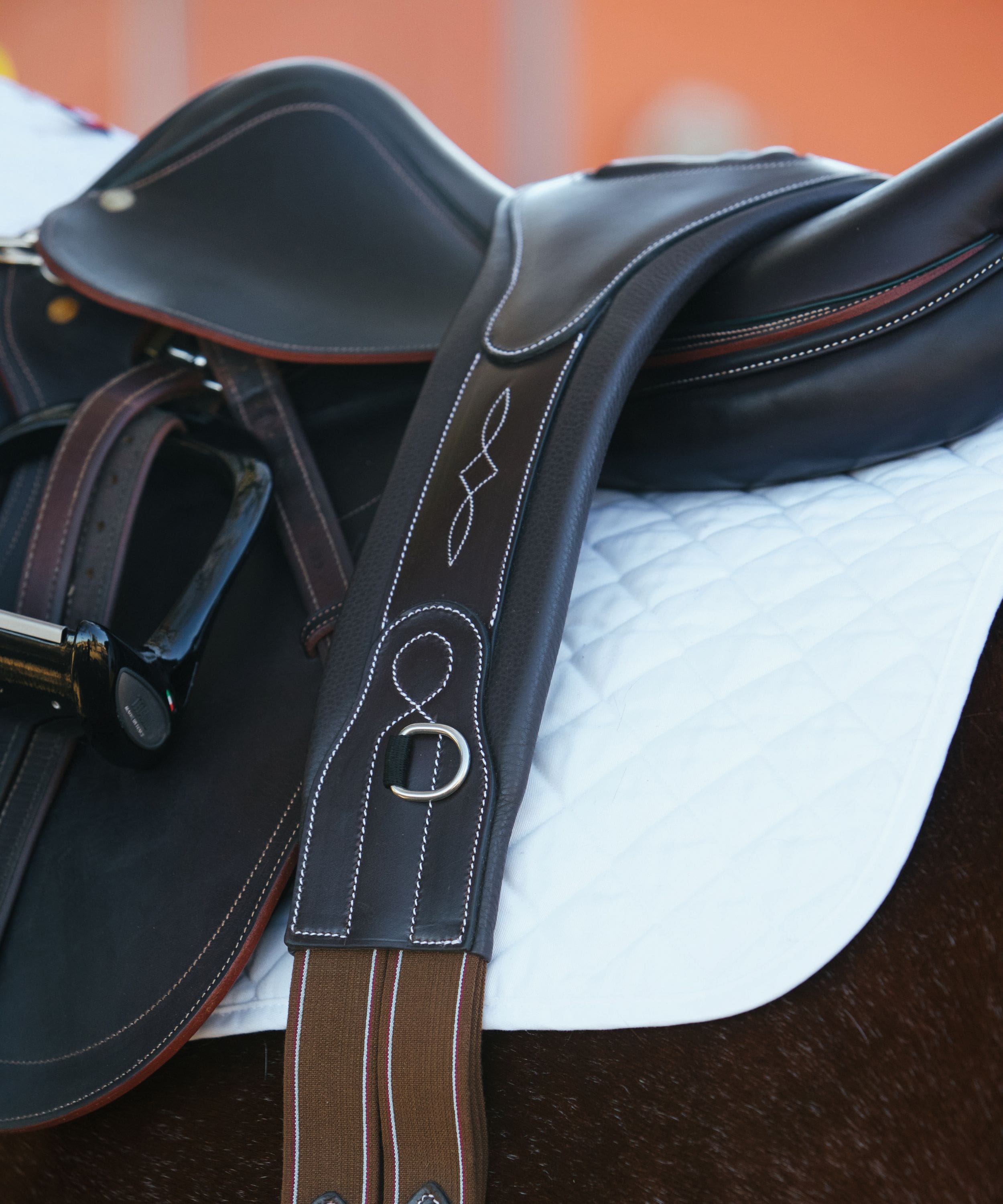 10 Best Quality Horse Tacks for Horse Riding – Bridles & Reins